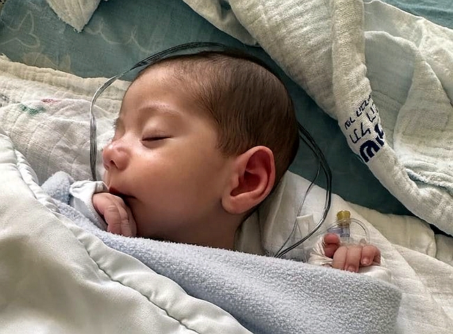 In the thicket of the Jordan